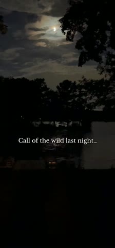 Werewolf Wednesday – Sasysquatchgirl