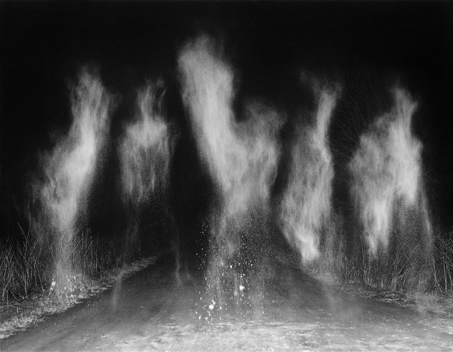 Wandering Trees… – Sasysquatchgirl